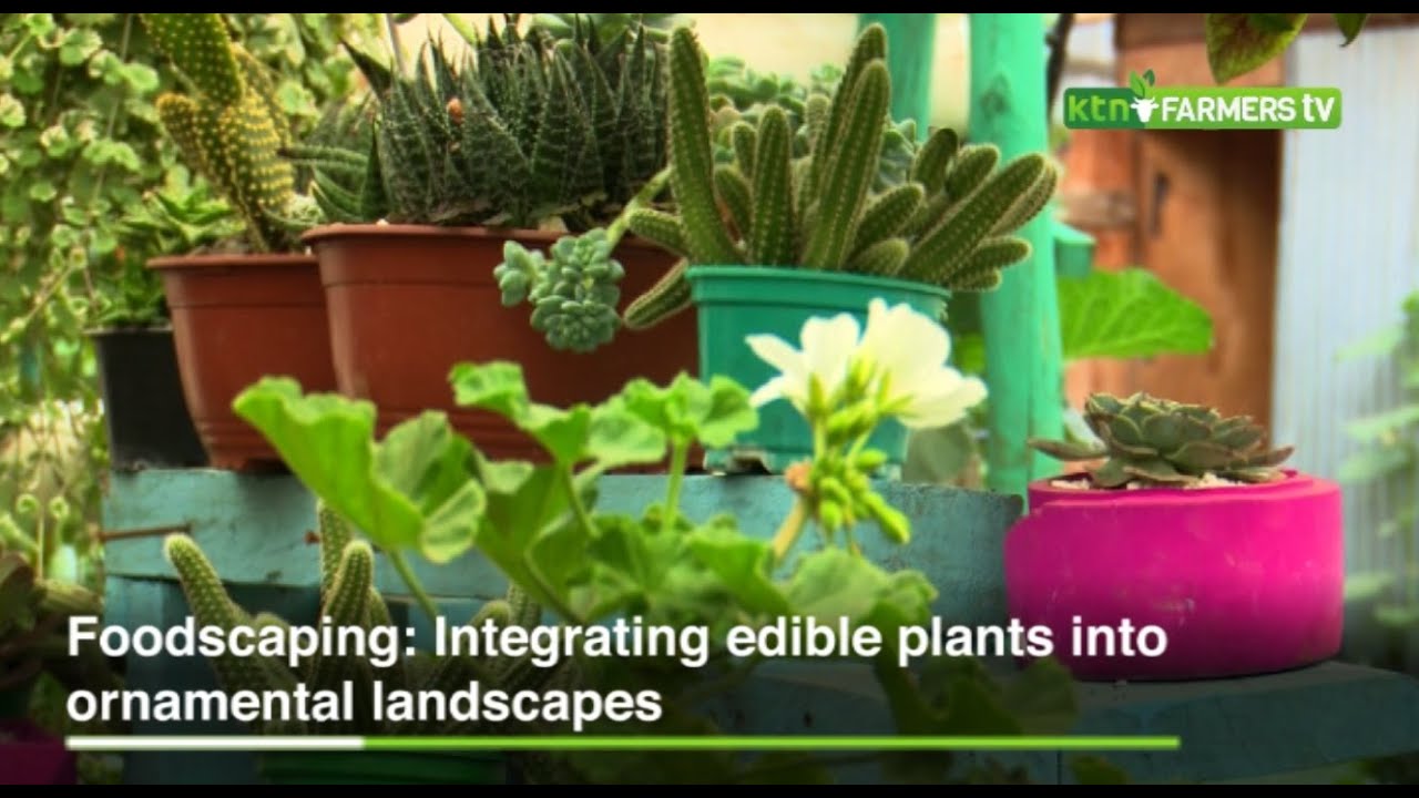 Foodscaping A “beautiful” way to create your home Garden - YouTube