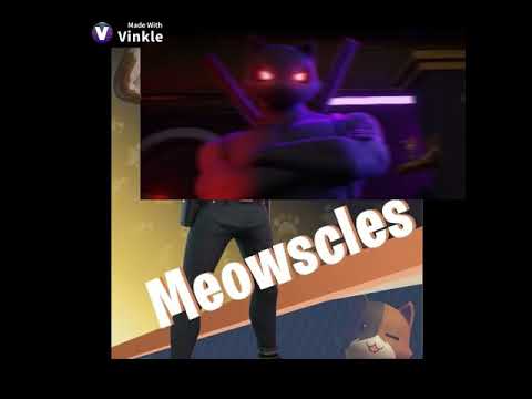 Kit and Meowscles - YouTube