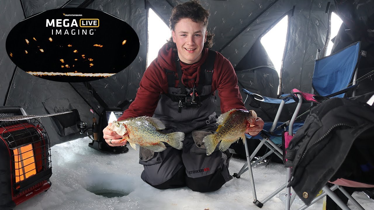 *First Time* Crappie Fishing With MEGA LIVE! (Strike Footage) - YouTube