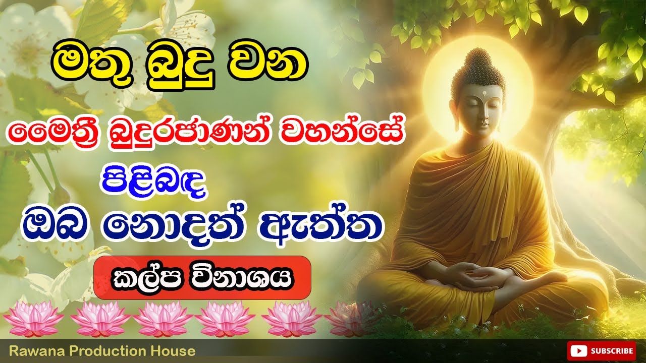 මතු බුදු වන මෛත්‍රී බුදුරජාණන් වහන්සේ පිළිබඳව ඔබ නොදත් ඇත්ත | maithree ...