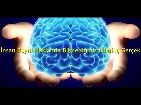 İnsan Beyni Hakkında Bilmediğiniz 8 İlginç Gerçek