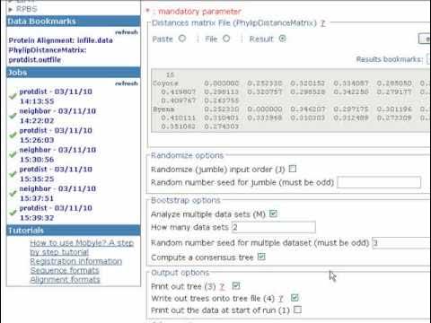 Bioinformatics Tutorials (Lesson 9) Part 2:Using PHYLIP to build phylogenetic trees - YouTube
