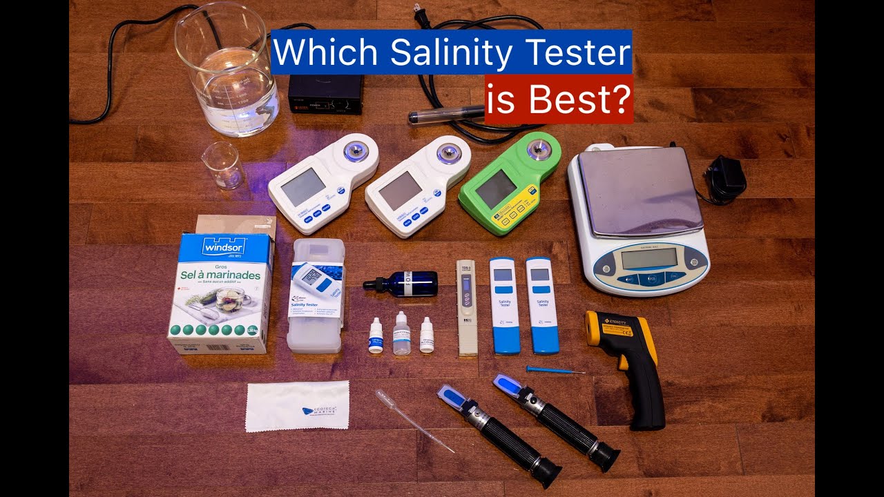 Salinity Testing 2.0 - YouTube