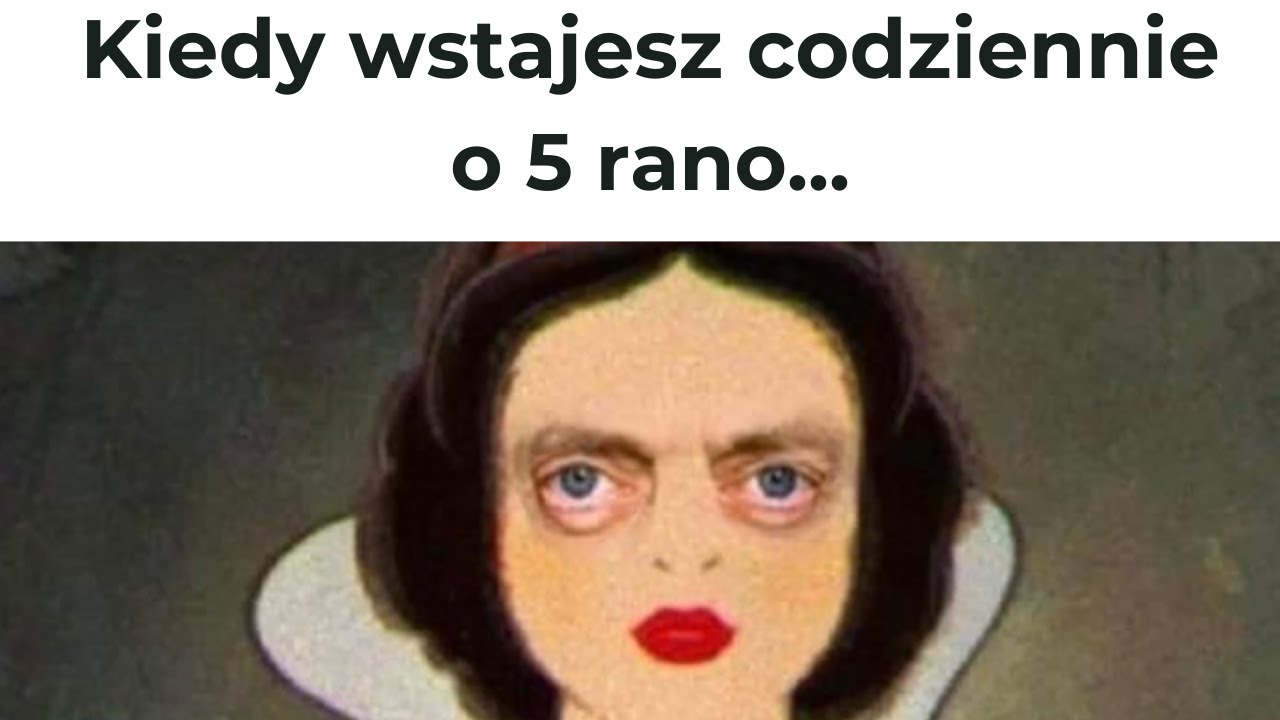 Dzienna Dawka MEMÓW 🤣 |33| Polskie memy 2024 | Memy po Polsku | - YouTube