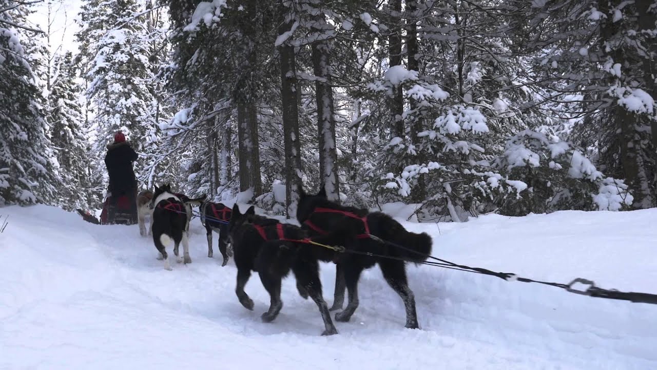 Muskoka, Ontario Travel Guide: A Winter Overview - YouTube