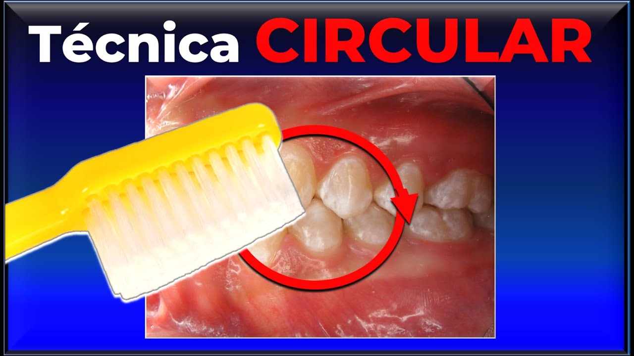 DOMINA la Técnica Circular de Fones y Transforma tu Cepillado Dental ...