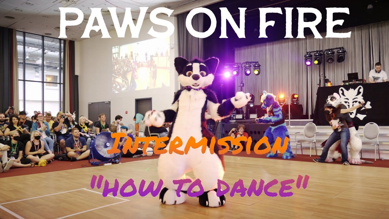 EF26 Paws on Fire "Intermission" - YouTube