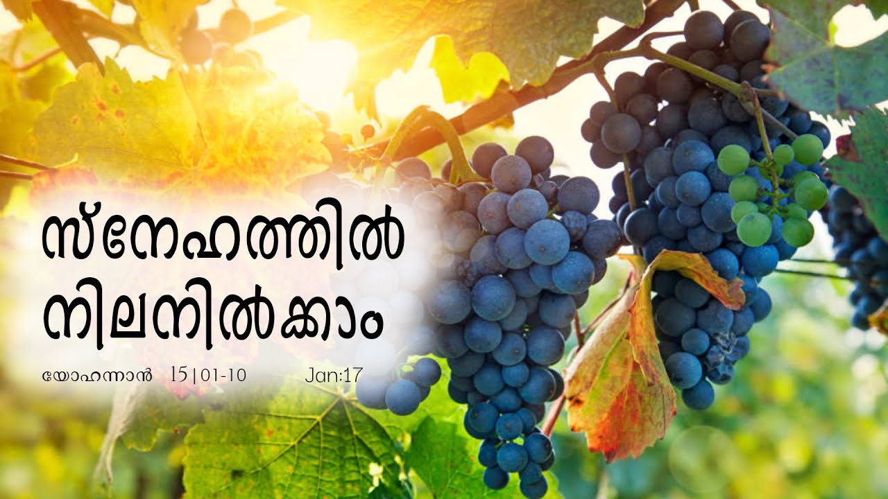  DAILY WORD OF GOD BIBLE READING JAN 17