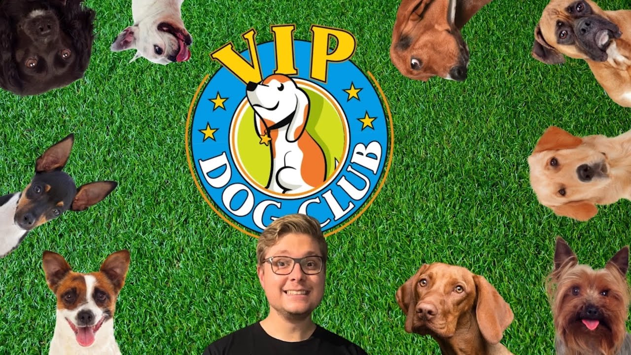 VIP Dog Club - YouTube