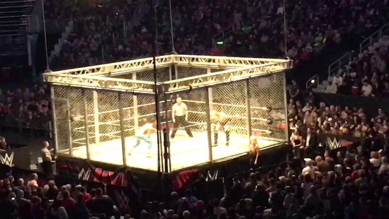 My Trip to WWE Live 12/29/16 part 4 Dolph Ziggler vs The Miz Steel Cage ...