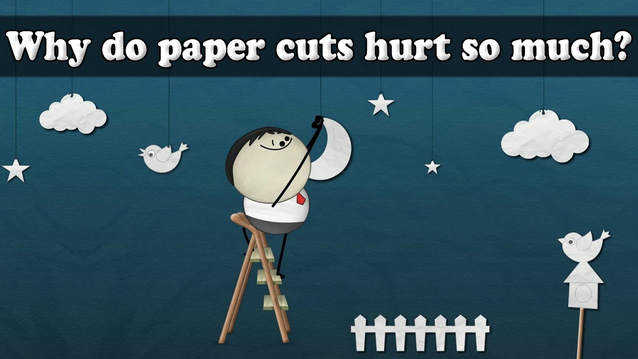 Why Do Paper Cuts Hurt So Much aumsum kids science education why-do-paper-cuts-hurt-so-much-aumsum-kids-science-education