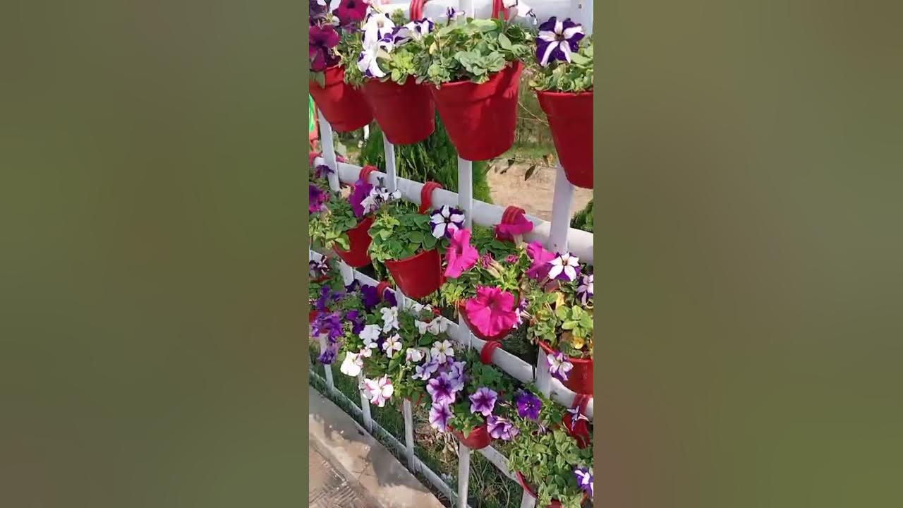 AS Shojib blog is live - YouTube