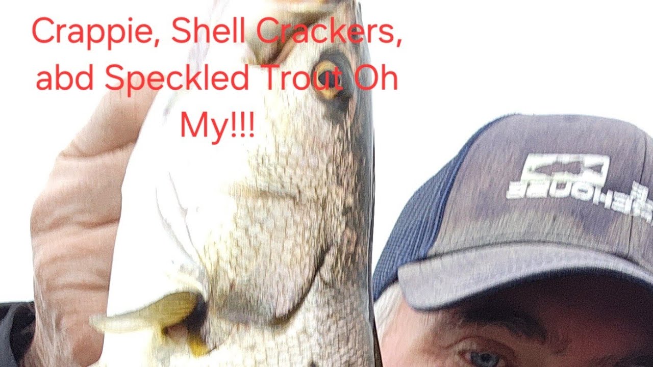 Crappie, Shell Crackers, and Speckled Trout, Oh My!!! - YouTube