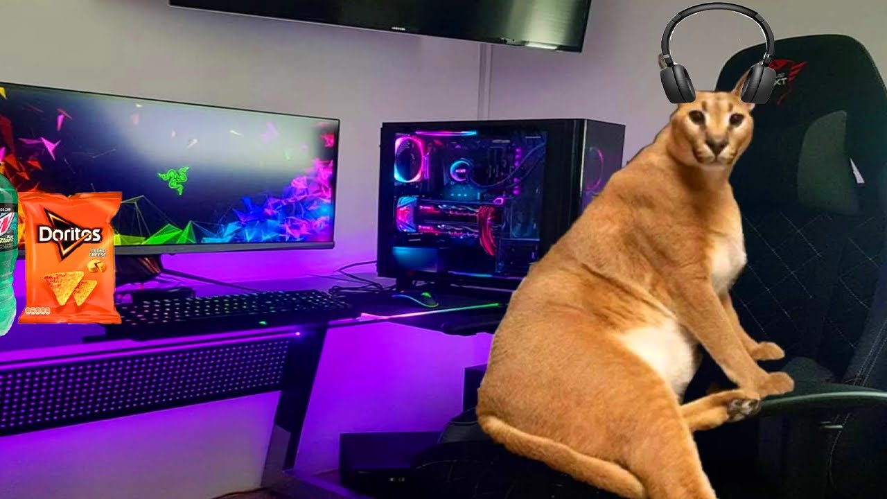 meu 𝒇𝒍𝒐𝒑𝒑𝒂 virou 𝒈𝒂𝒎𝒆𝒓. ( raise a floppa 2 ) - YouTube