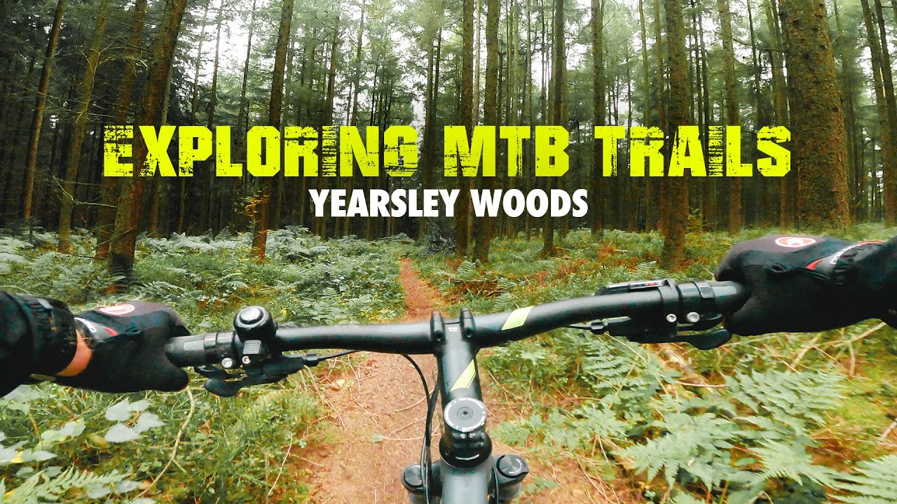 Wild MTB Adventure in Yearsley Woods | Downhill Trails & Forest Views ...