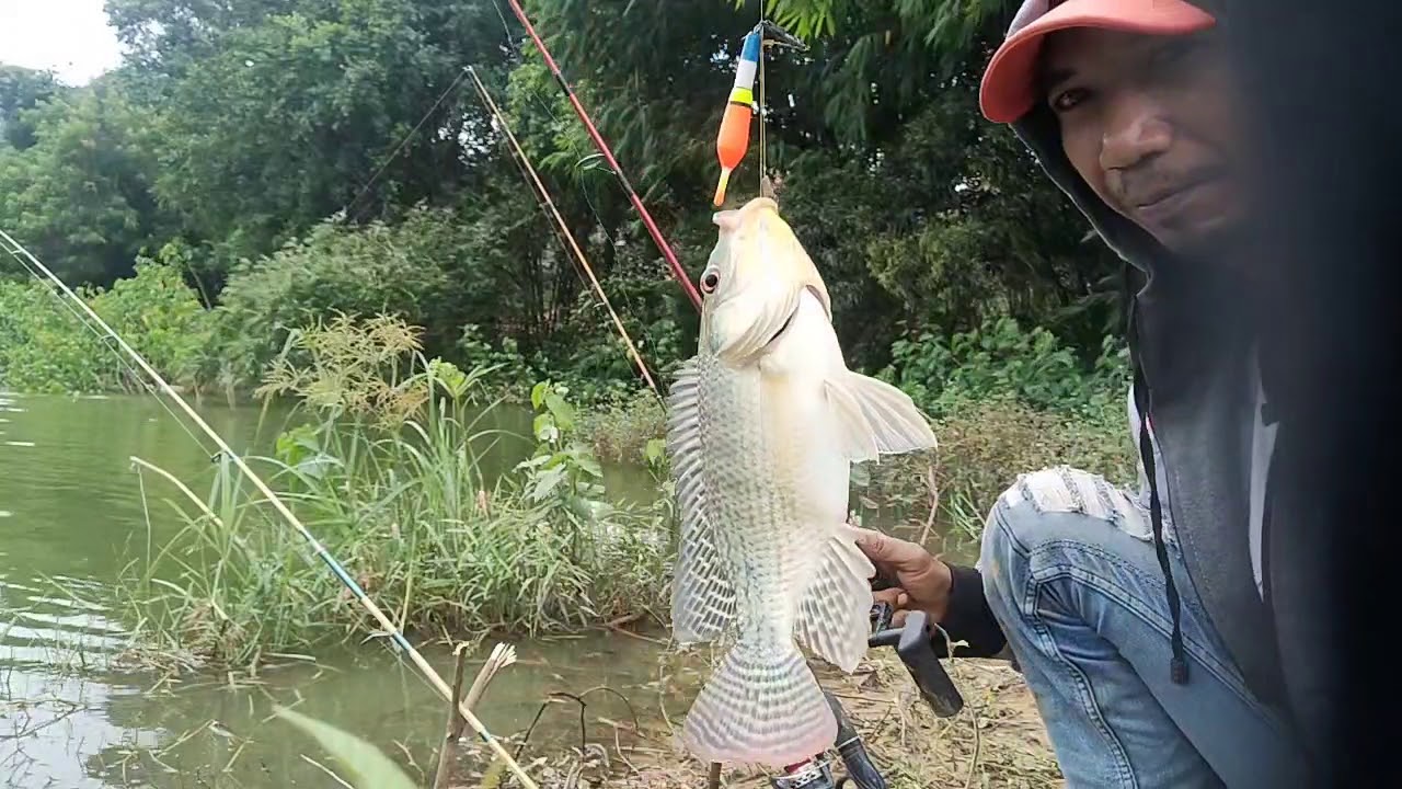 Mancing nila - YouTube