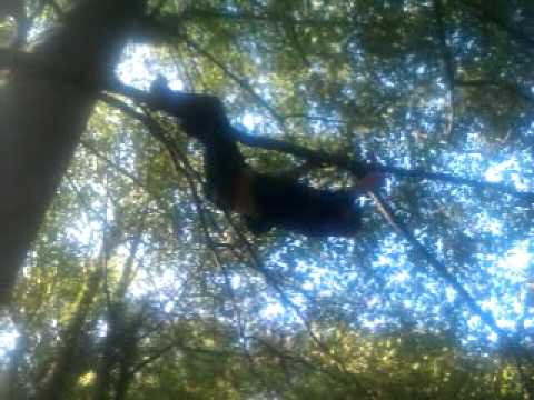Climbing tree fail - YouTube