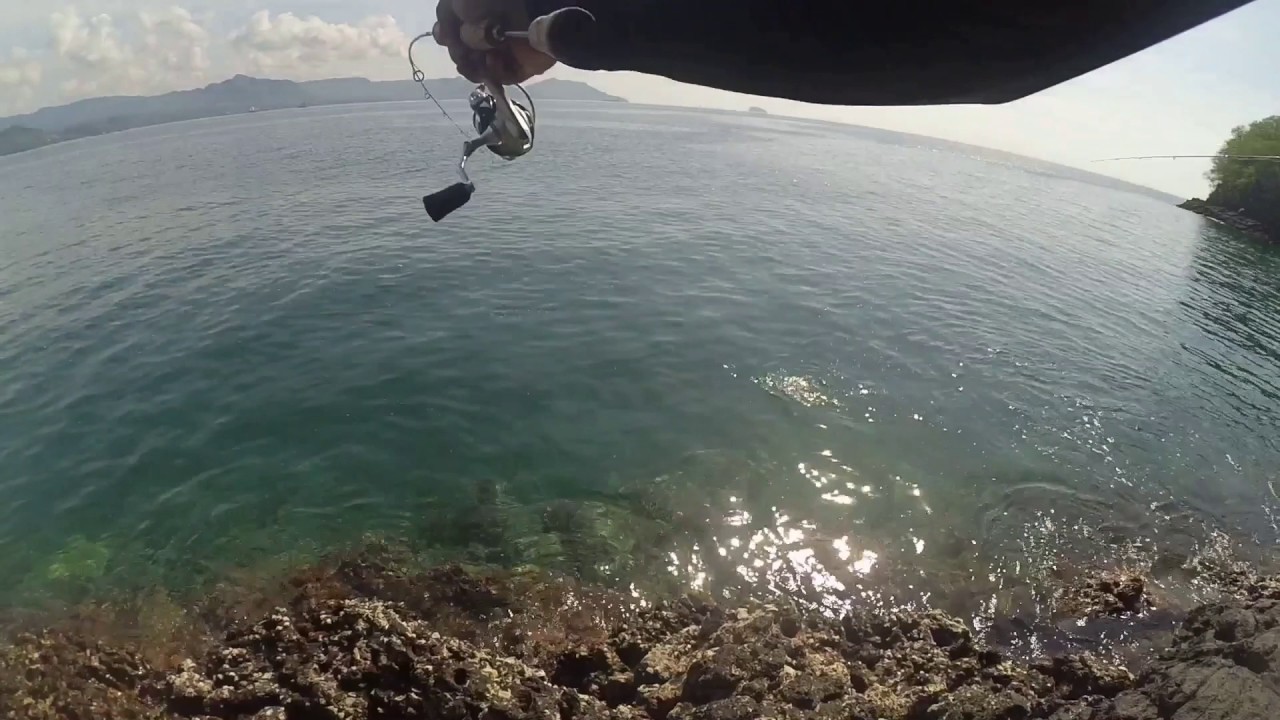 Ultralight Casting Bali (Baby Queenfish) - YouTube