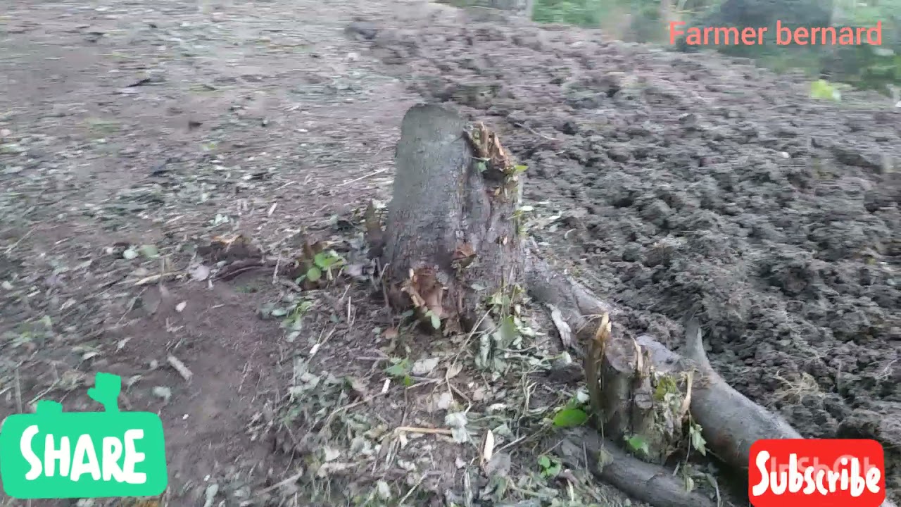 how to prepare a hilly land for farming - YouTube