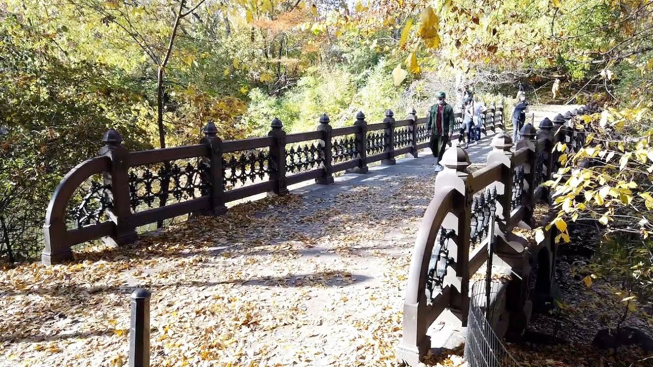 New York, New York - Central Park - Oak Bridge (2020) - YouTube