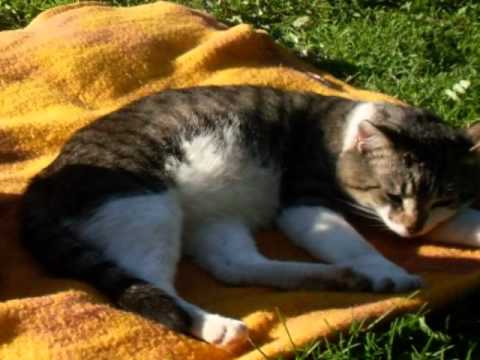 Ku pamięci Marjana - Marjan is dead - Pamiętajcie go!