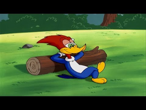 Woody Woodpecker Show | Woodsy Woody | Full Episode | Videos For Kids