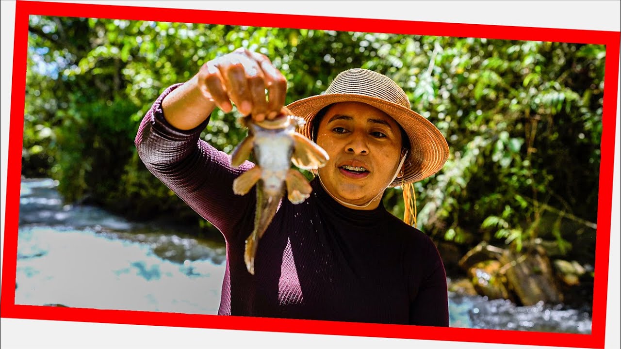 Así se pesca CORRONCHOS en mi tierra - YouTube