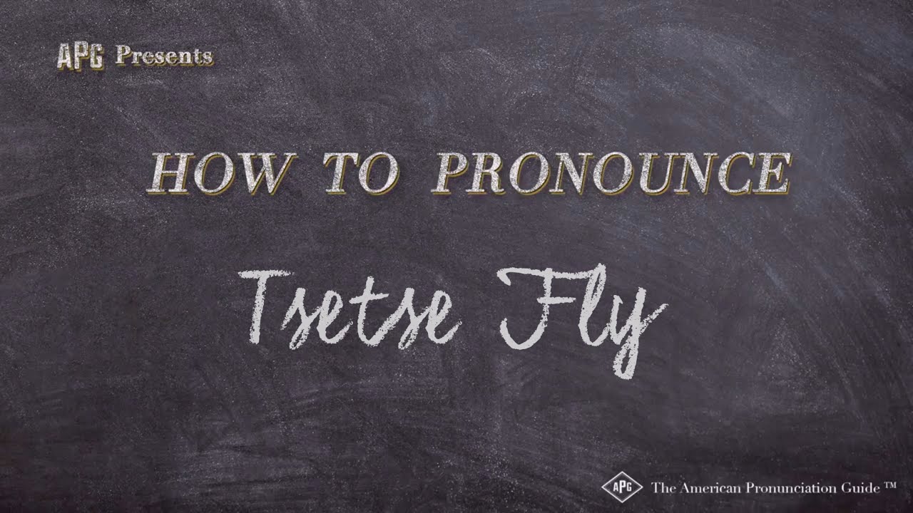 How to Pronounce Tsetse Fly (Real Life Examples!) - YouTube