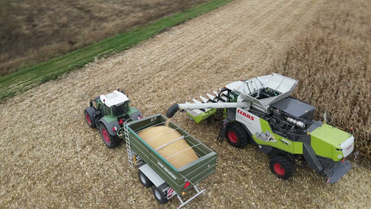 Claas Trion 660 w kukurydzy | Wydajność ograniczona przez odbiór ...