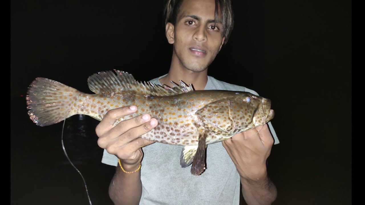 Fishing in goa(restricted area) grouper/episode 12 - YouTube