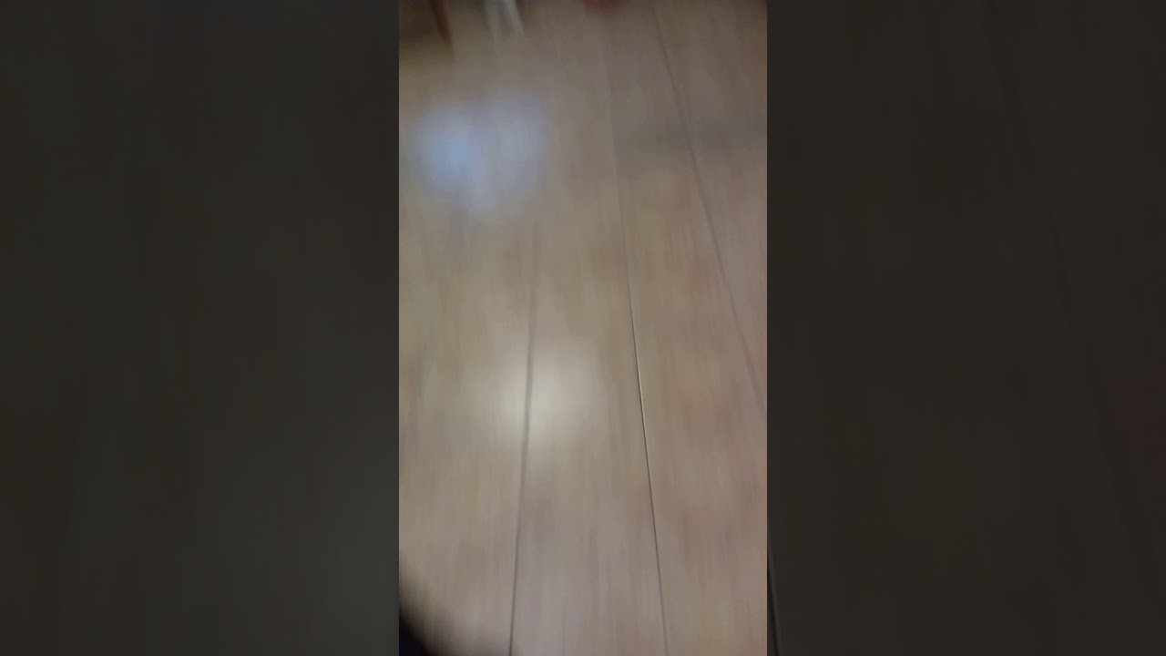 Skinwalker scream - YouTube