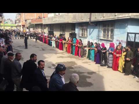 Şewin Müzik - Eşira Goyan Dawet ( Kalabalık Kürt Düğünü )