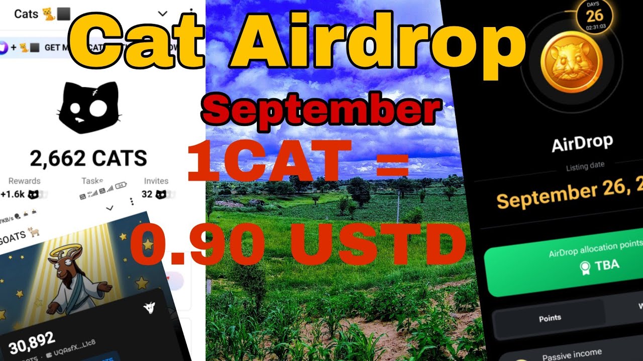 Big Airdrop for cat 😺 in September, Cat listing date, price , Hamster ...