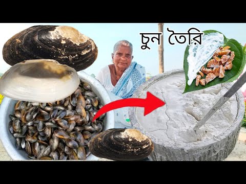 ঠাকুমা আজকে বাড়িতে খুব সহজভাবে পারফেক্ট ঝিনুক থেকে পান খাওয়ার চুন তৈরি করল | pan khawa chun