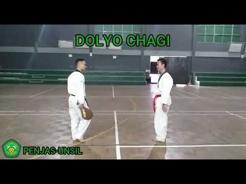 Dolyo Chagi | Tae Kwon Do - YouTube