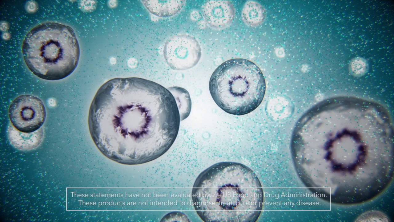 Discover Glyconutrition - YouTube