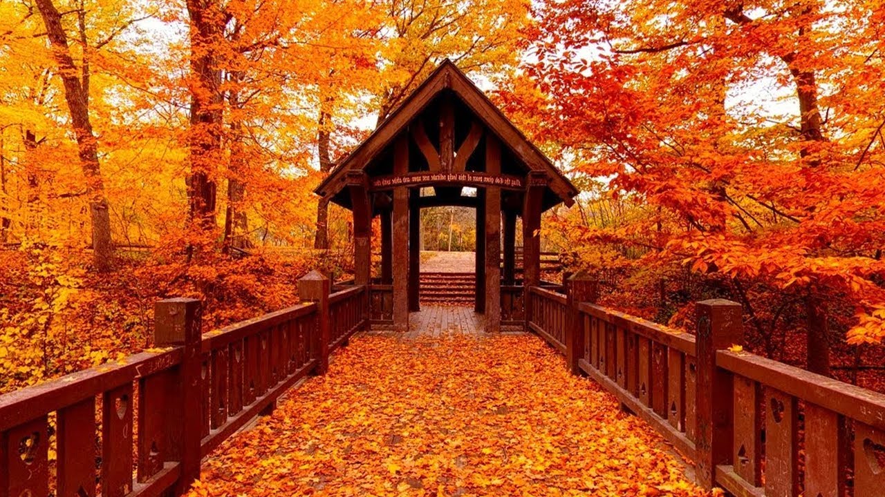 Great Relaxing Hymns, Gentle Peaceful Melodies, "Peaceful Autumn ...