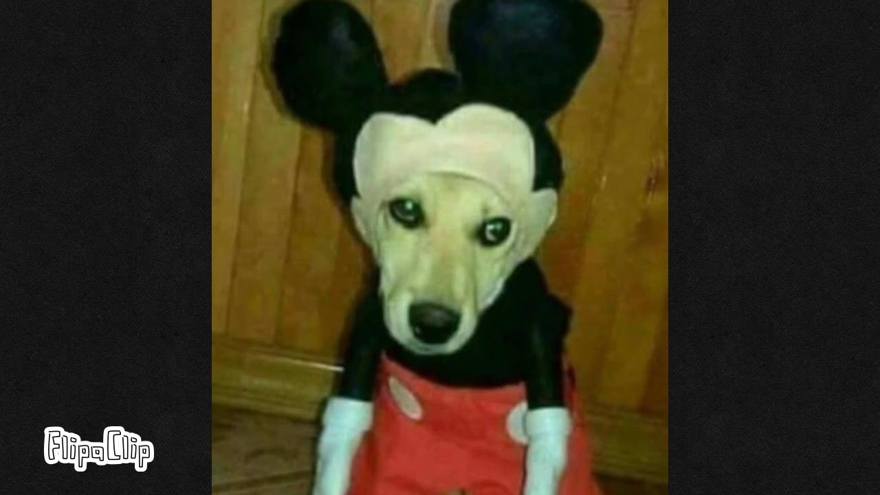 Uh, Hey Goofy! - YouTube