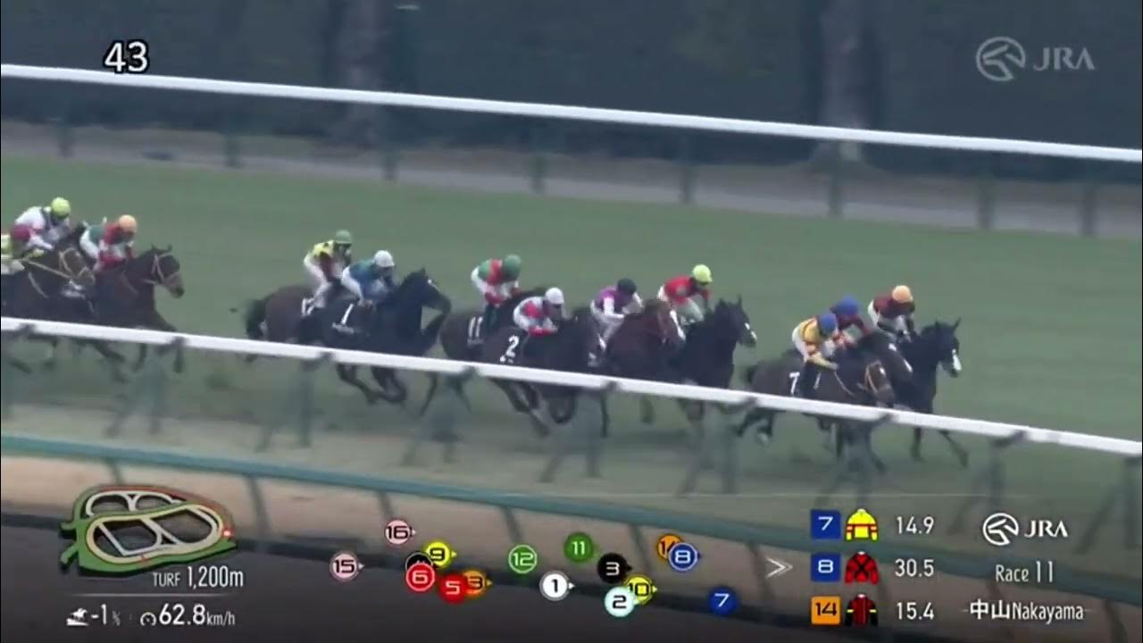 2025年1月6日中山11R サンライズS 芝1200m ステークホルダー - YouTube