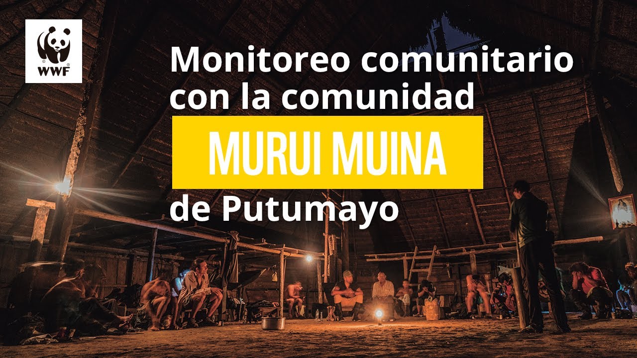Video monitoreo comunitario con la comunidad Murui Muina del Putumayo ...