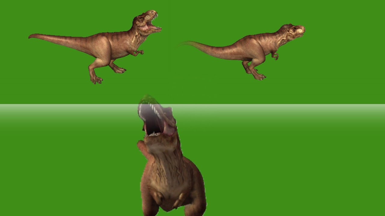 T-REX dinosaur green screen 🦖#dinosaurs #T-REX#green screen - YouTube
