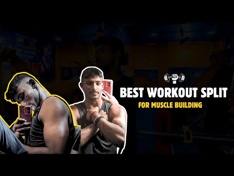 Ultimate Muscle Building Workout Split | Workout Split | Gym | Muscle ...
