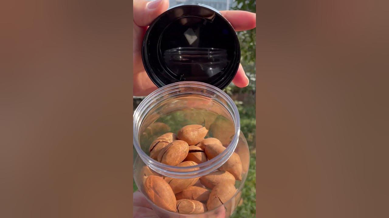 930ml Plastic Food Container with Handle Caps for Cashew ,Peanut , Cheese Ball . - YouTube