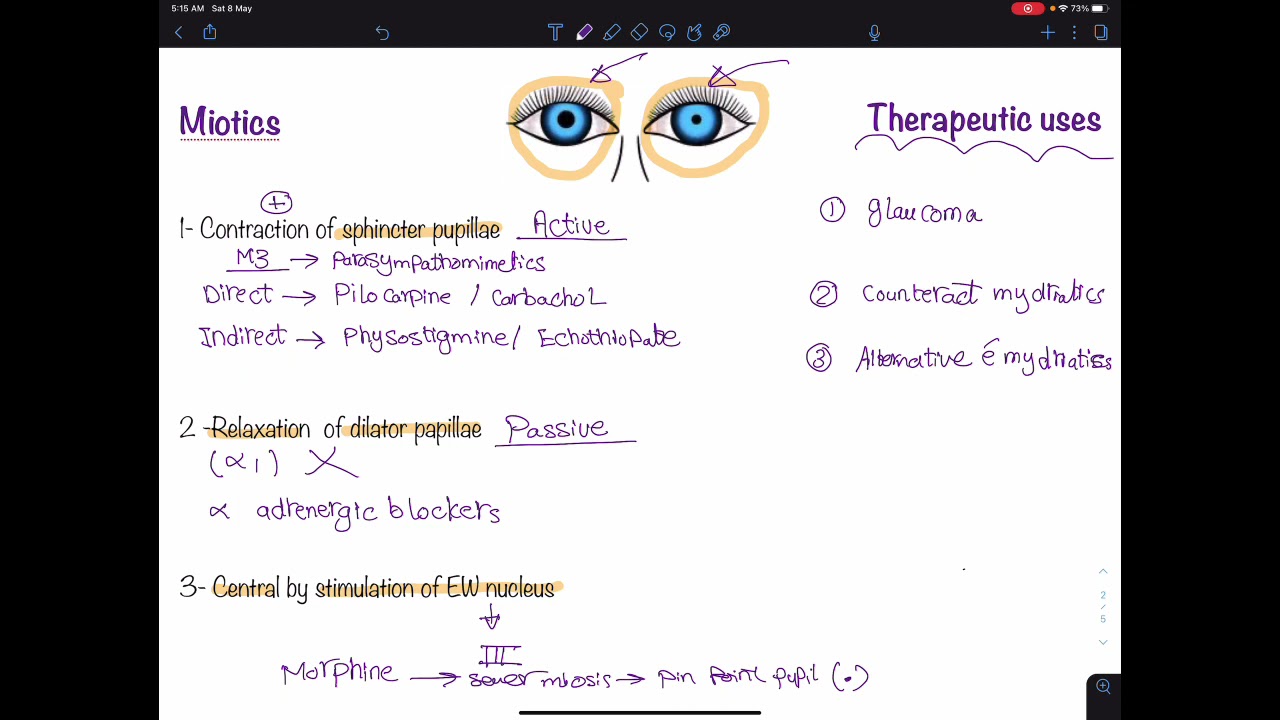Pupil size chart for drugs - statcurrent