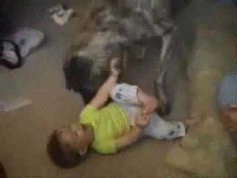 ZUZU, ZuZum, aykut , beyoğlu, izlesene, kucuk HIRSIZIM, mp3, video, trtube