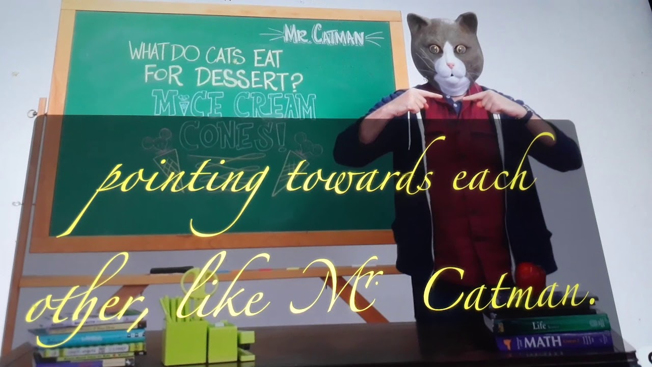 Mr. Catman - Swirly Fingers - YouTube