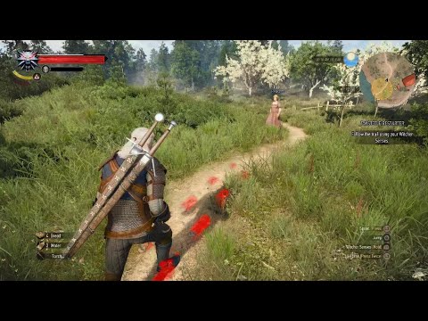 The Witcher 3: Wild Hunt - Complete Edition_20250331091612