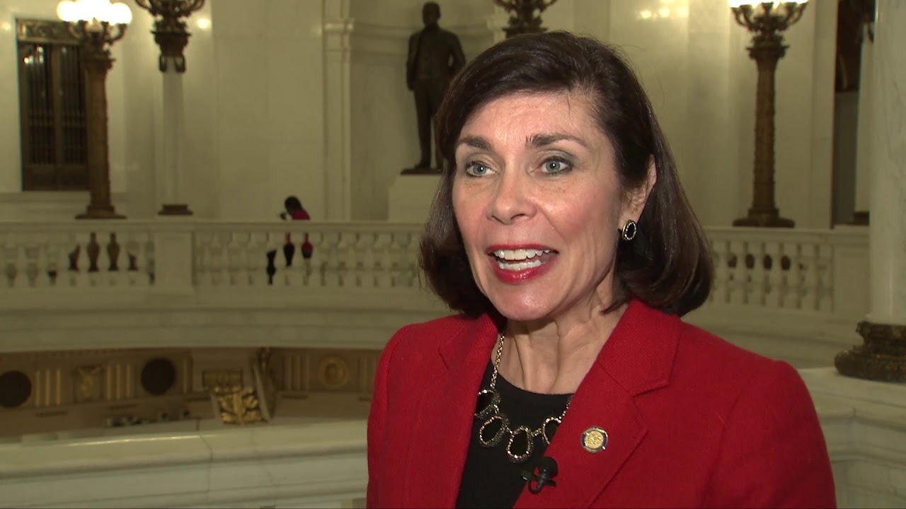 02.21.20 Senator Phillips-Hill on Week 1 of Senate Budget Hearings ...