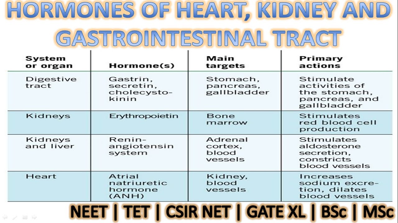 HORMONES OF HEART , KIDNEY & GASTRO INTESTINAL TRACT - YouTube