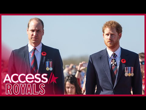 Inside Prince Harry & Prince William's Brotherly Feud